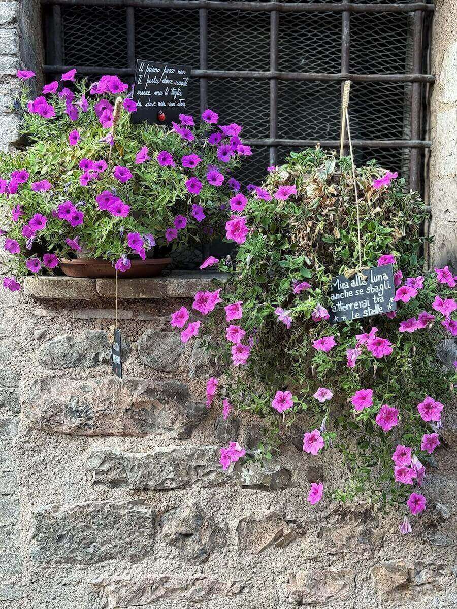 A Quintessential Guide To Spello Italy: 9 Best Things To Do